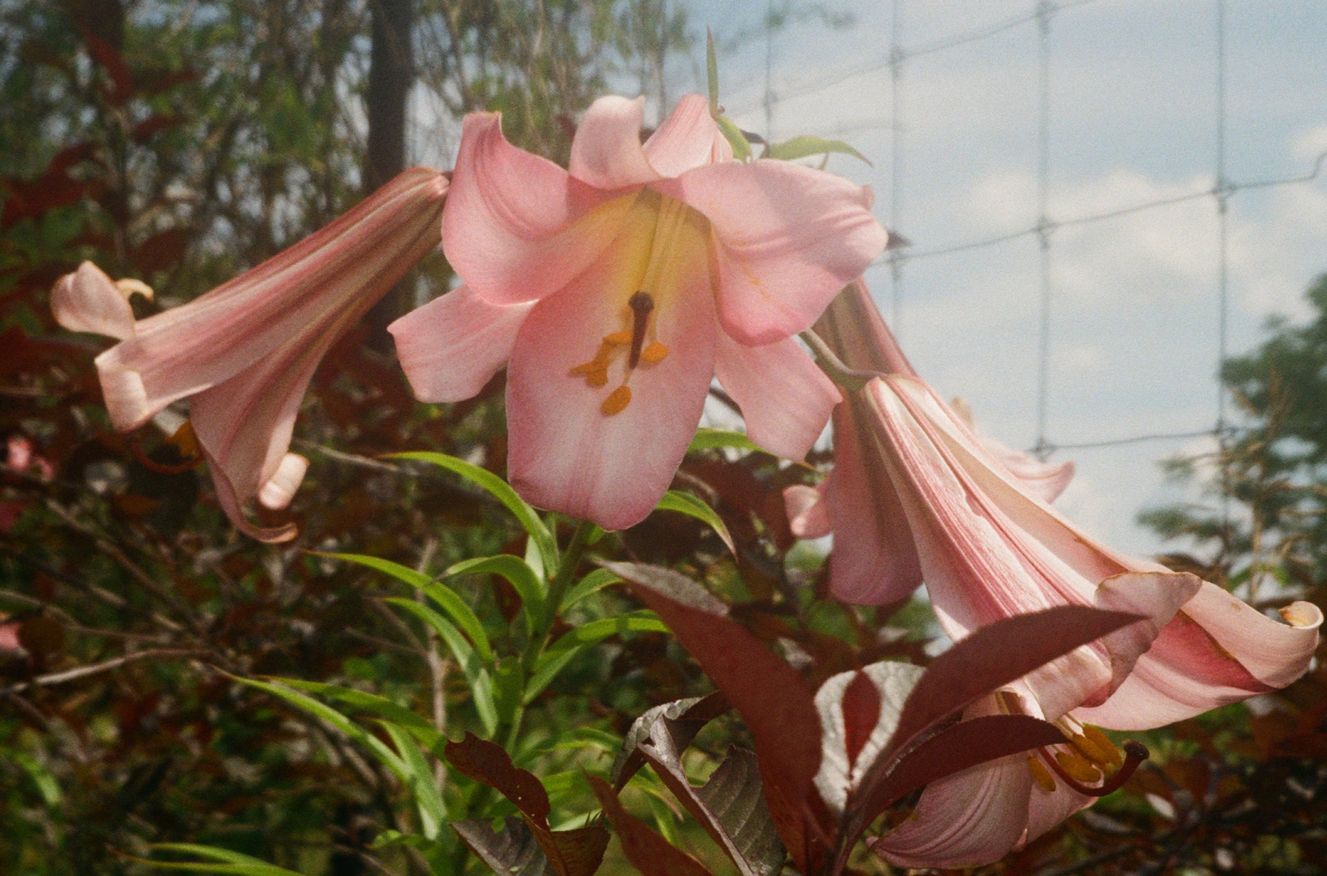 No.6 Store - Curated Women's Clothing, Accessories, and Handmade Clogs